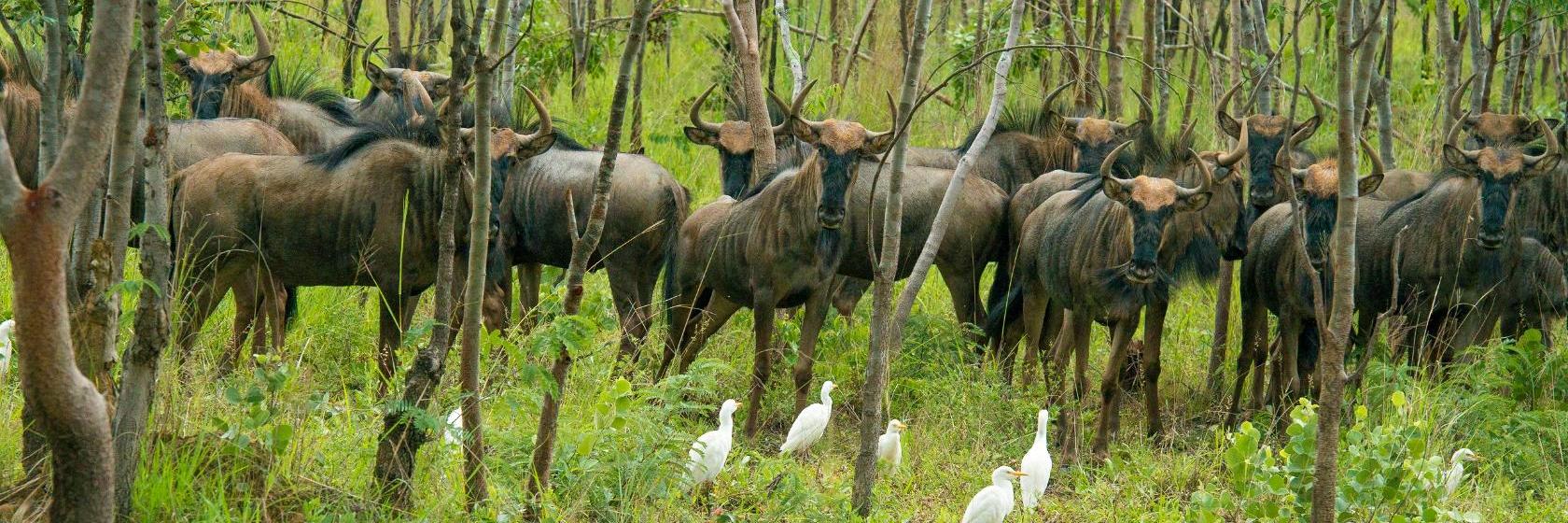 The best available hotels & places to stay near Menongue, Angola