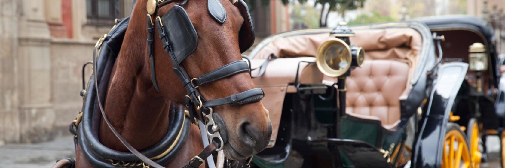 The 10 best hotels & places to stay in Camas, Spain - Camas hotels