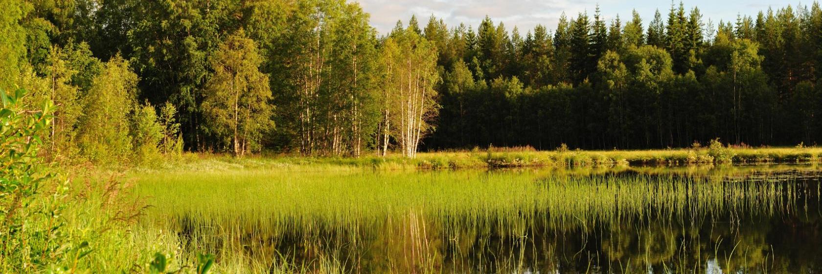 The best available hotels & places to stay near Strandebarm, Norway