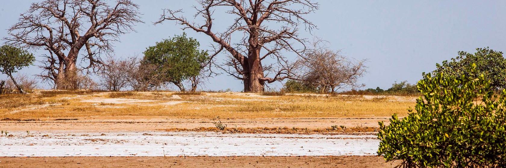The best available hotels & places to stay near Sokone, Senegal