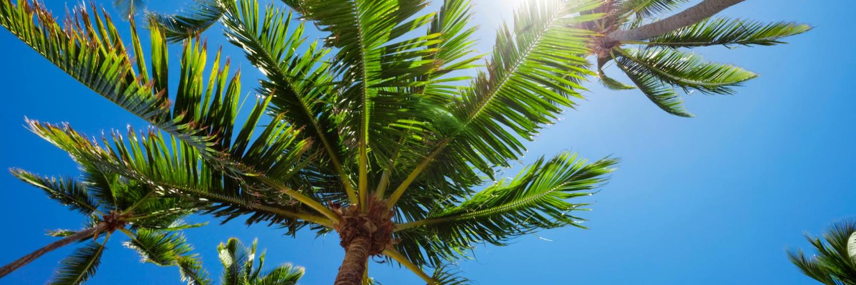 10 Best Pacific Harbour Hotels, Fiji (From $78)