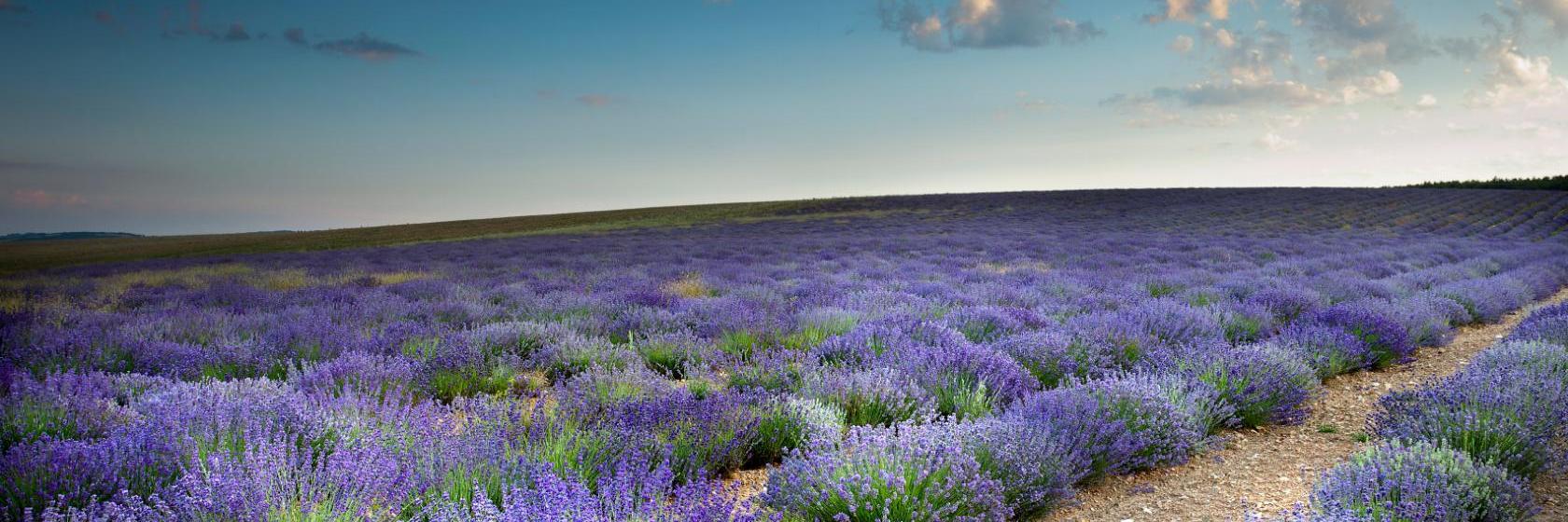 The 10 best hotels & places to stay in Murs, France - Murs hotels