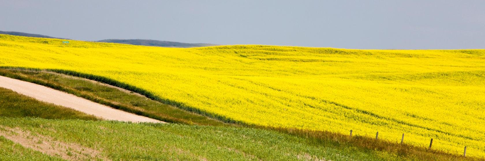 The best available hotels & places to stay near Canora, Canada