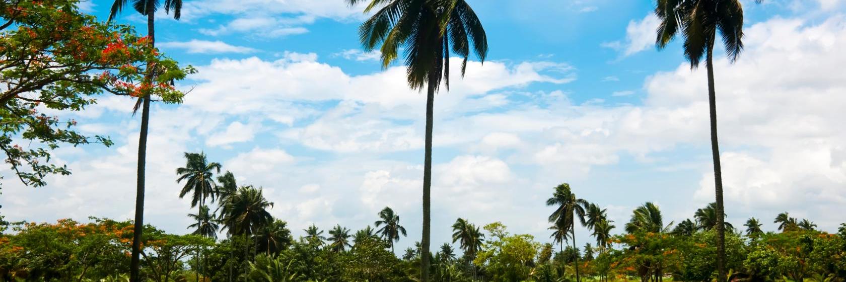 The 10 best hotels & places to stay in Clark, Philippines - Clark hotels
