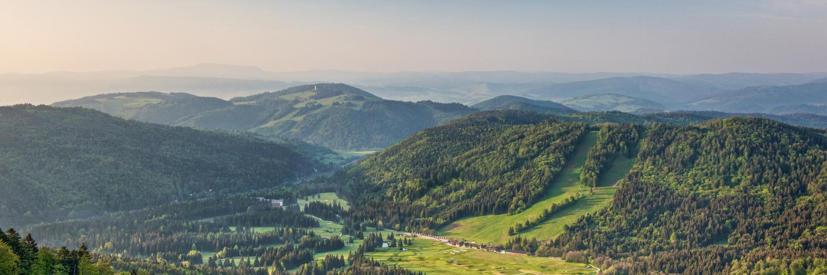 The 10 best hotels & places to stay in Tale, Slovakia - Tale hotels