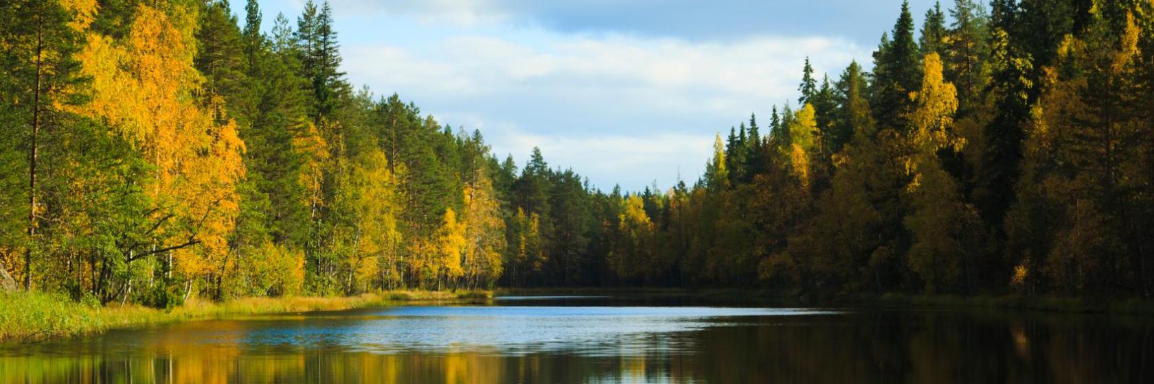 De 10 bästa hotellen i Härmä, Finland (från SEK 918)