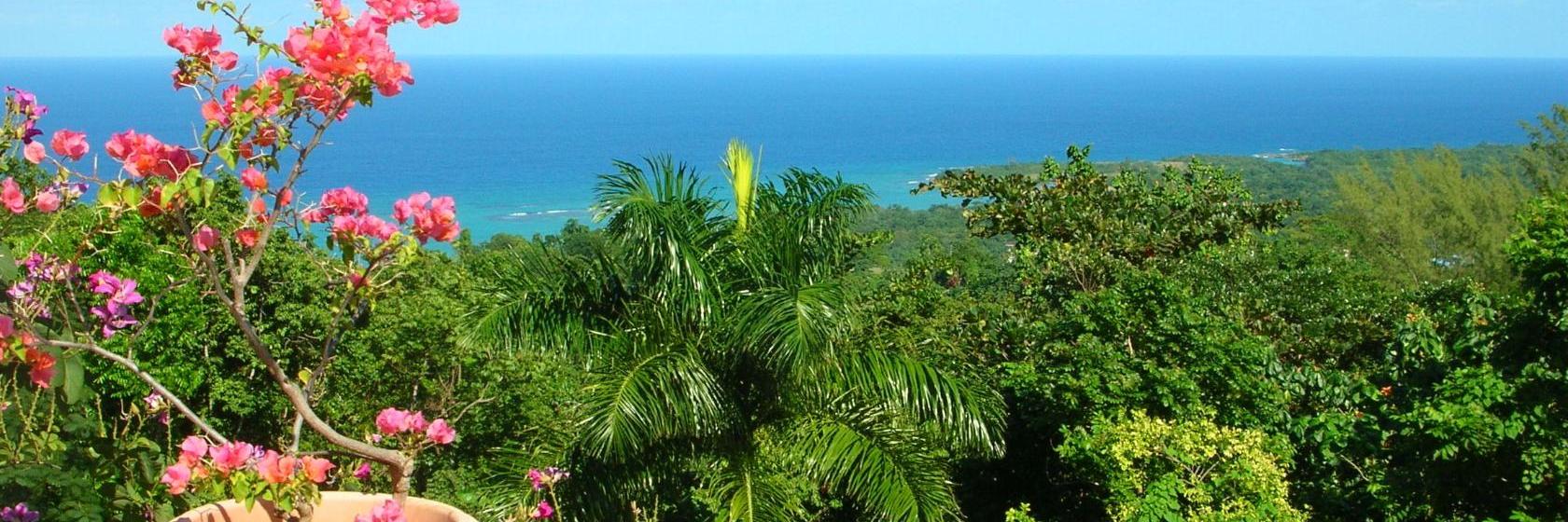 10 Best Saint Annʼs Bay Hotels, Jamaica (From $121)