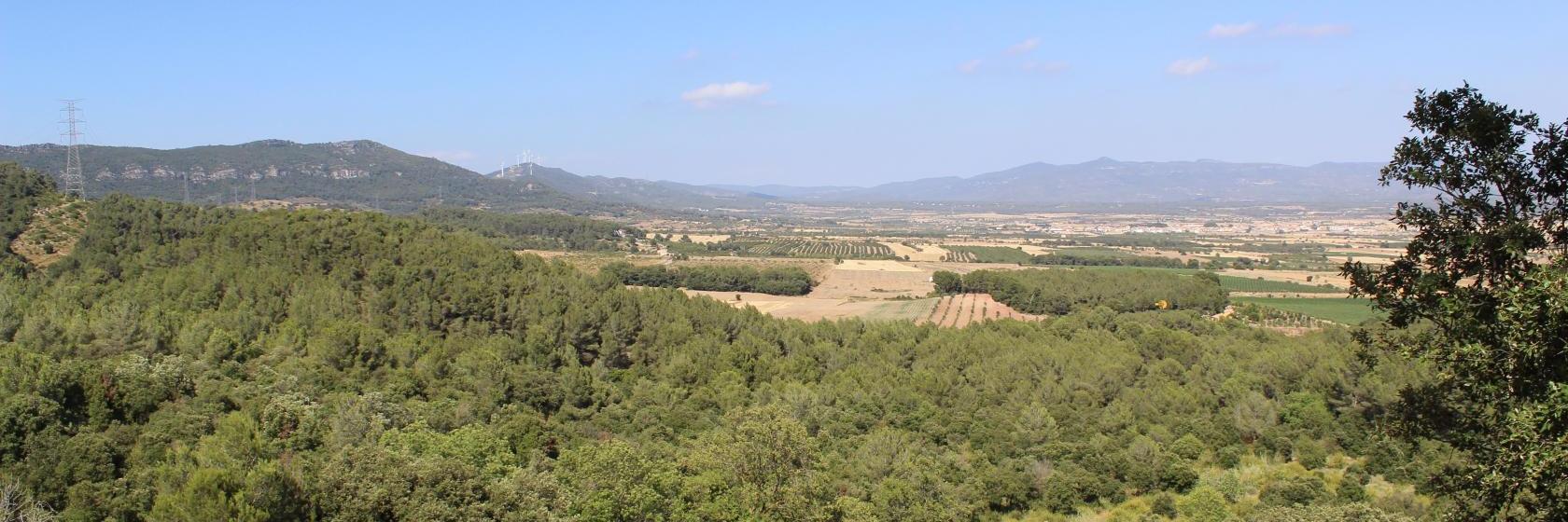 The best available hotels & places to stay near Lilla, Spain