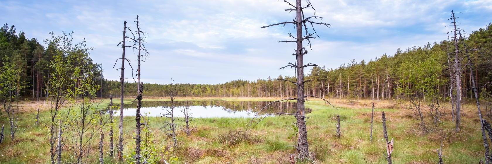 The 10 best hotels & places to stay in Tammela, Finland - Tammela hotels