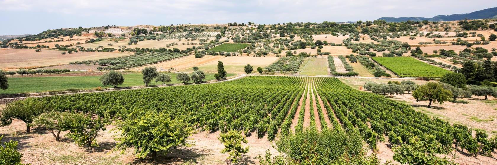 The 10 best hotels & places to stay in Chiaramonte Gulfi, Italy ...