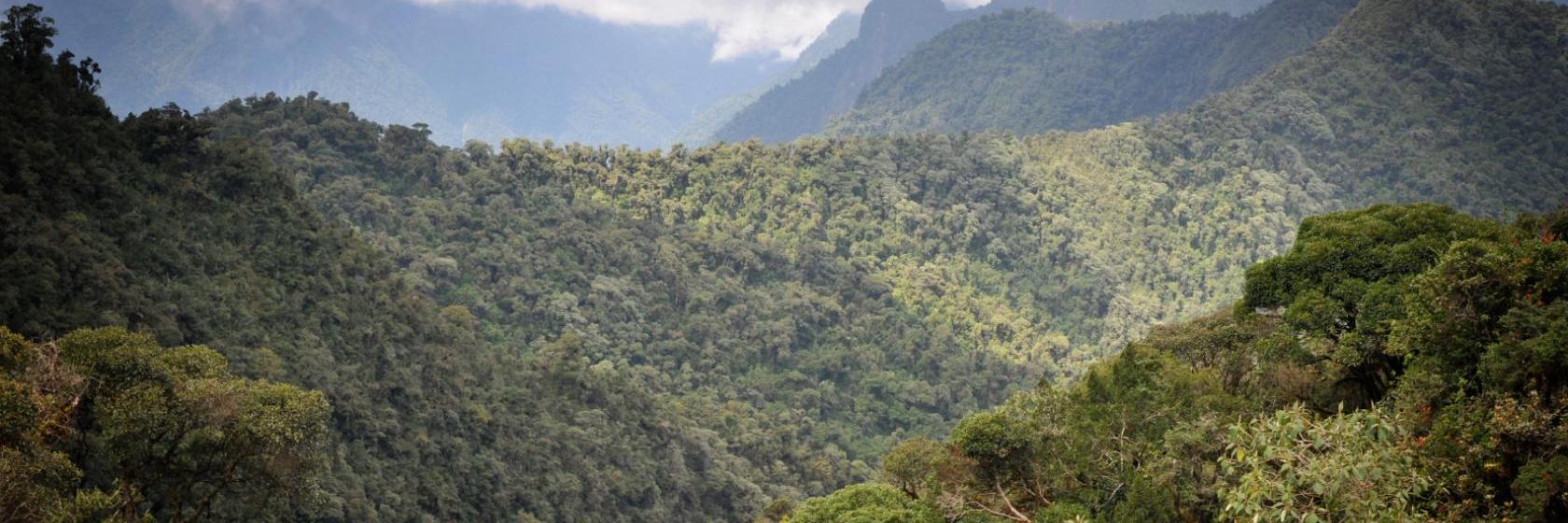 Hoteles baratos cerca de Pallatanga, Ecuador - Dónde dormir cerca de ...