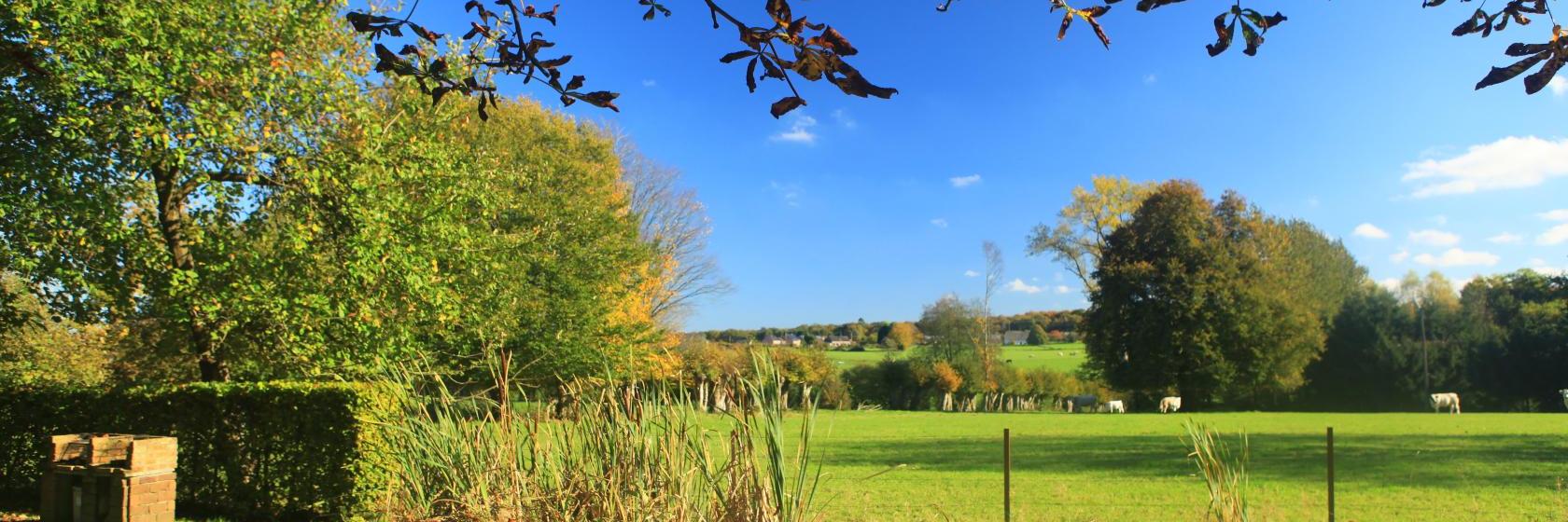 The 10 best hotels & places to stay in Momignies, Belgium - Momignies ...