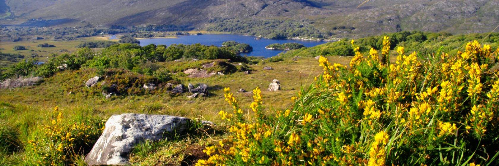 The best available hotels & places to stay near Faha, Ireland