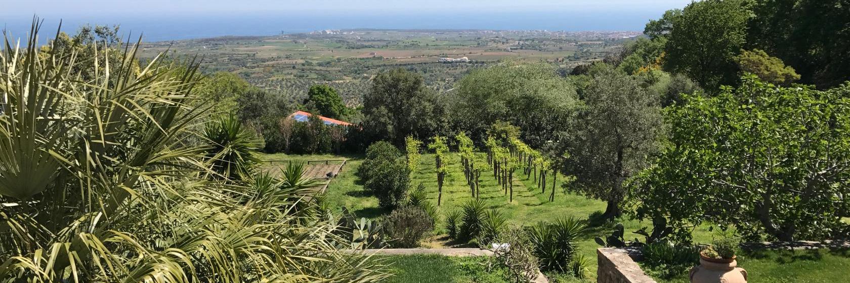 The best available hotels & places to stay near Cirò, Italy