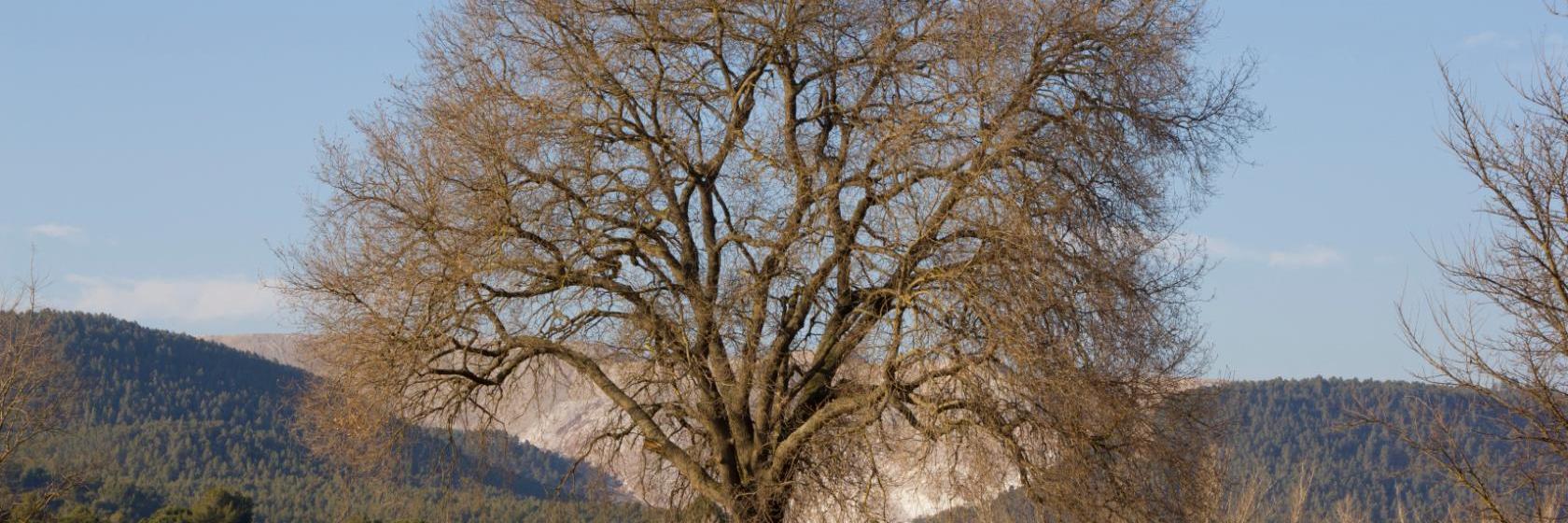 The 10 best hotels & places to stay in Bot, Spain - Bot hotels