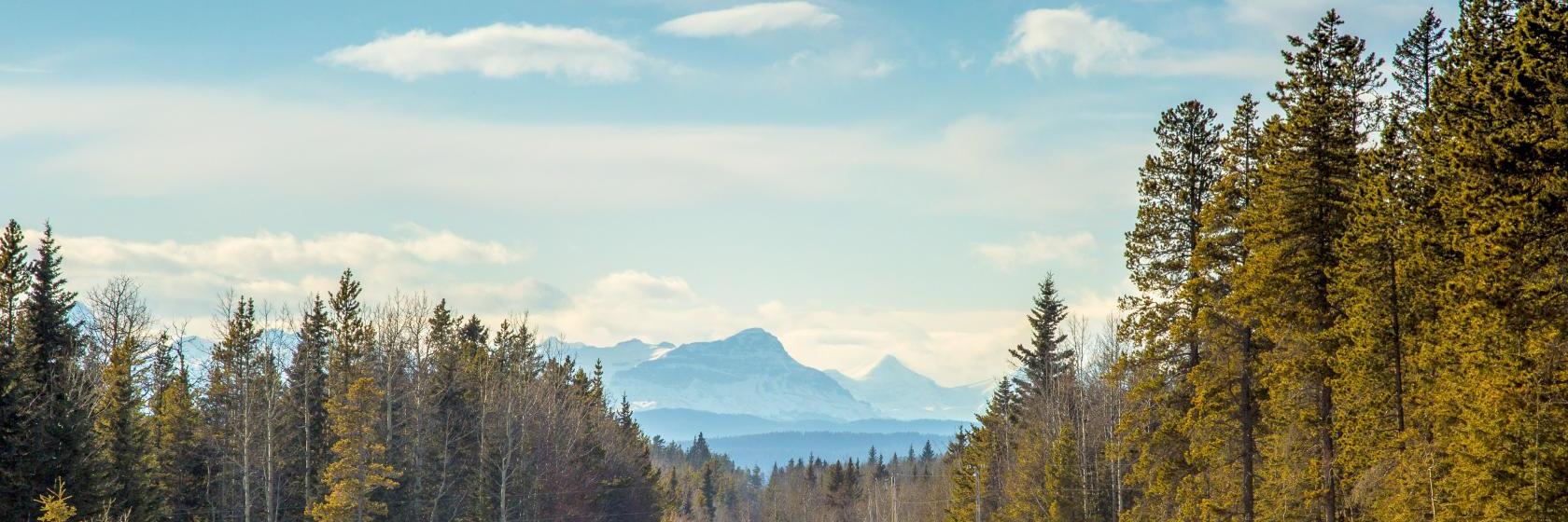 The best available hotels & places to stay near Water Valley, Canada