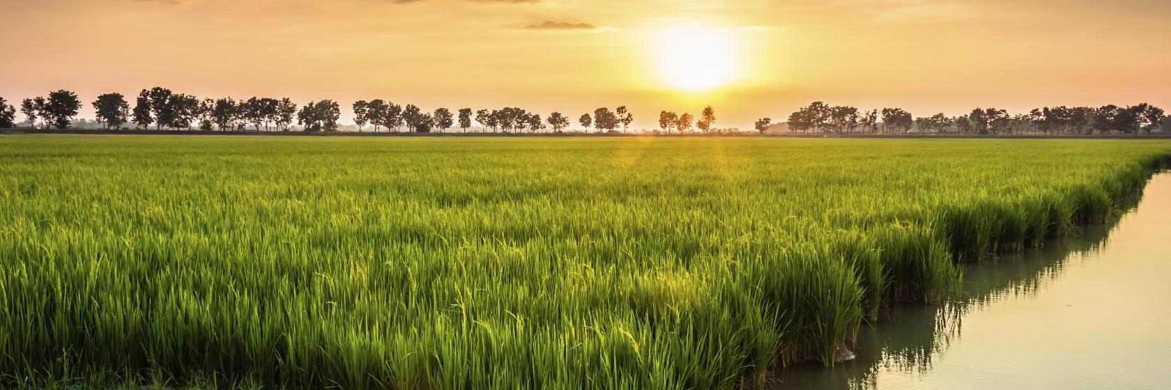 The best available hotels & places to stay near Thung Saliam, Thailand