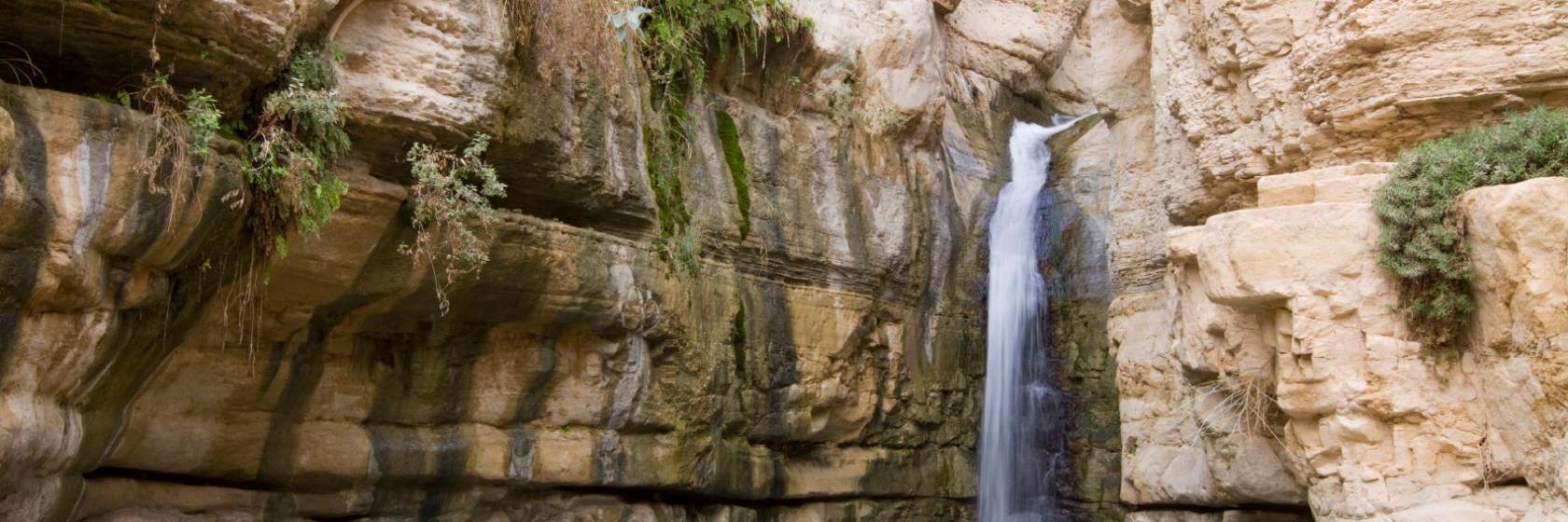 10 Best Moshav Ramot Hotels, Israel (From $180)