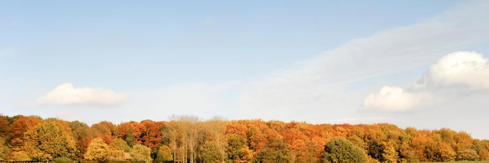 The 10 best hotels & places to stay in Libin, Belgium - Libin hotels