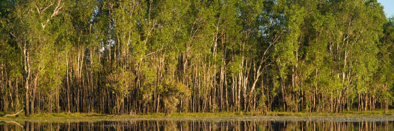 The best available hotels & places to stay near Lake Bennett, Australia