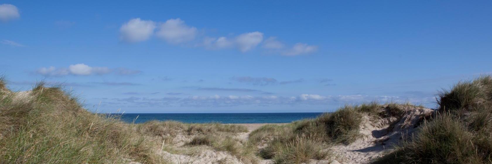 10 Best Saltum Hotels, Denmark (From $150)