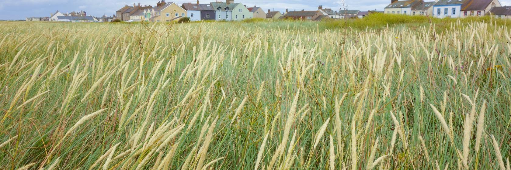 The 10 best hotels in Allonby, Cumbria - Cheap Allonby hotels