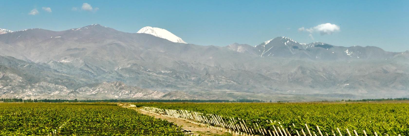 10 Best Santa Cruz Hotels, Chile (From $102)