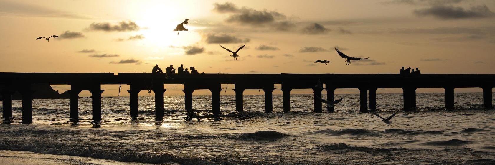 The 10 best hotels & places to stay in Brufut, Gambia - Brufut hotels