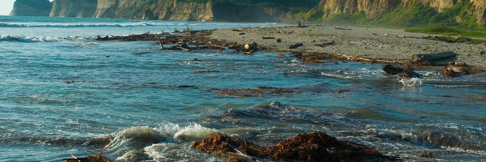 Hoteles baratos cerca de Súa, Ecuador - Dónde dormir cerca de Súa