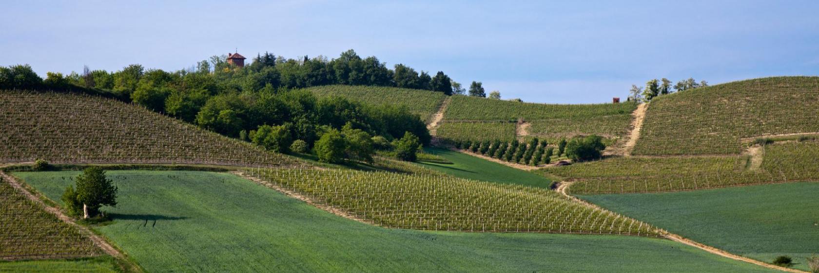 The best available hotels & places to stay near Cassine, Italy