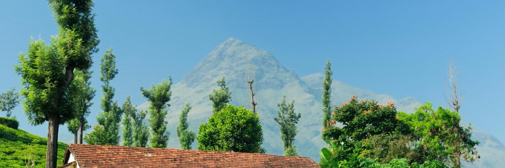 The 10 best hotels & places to stay in Kalpetta, India - Kalpetta hotels