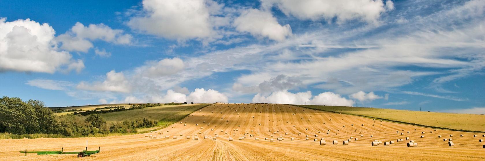 The best available hotels & places to stay near Lower Beeding - Lower ...