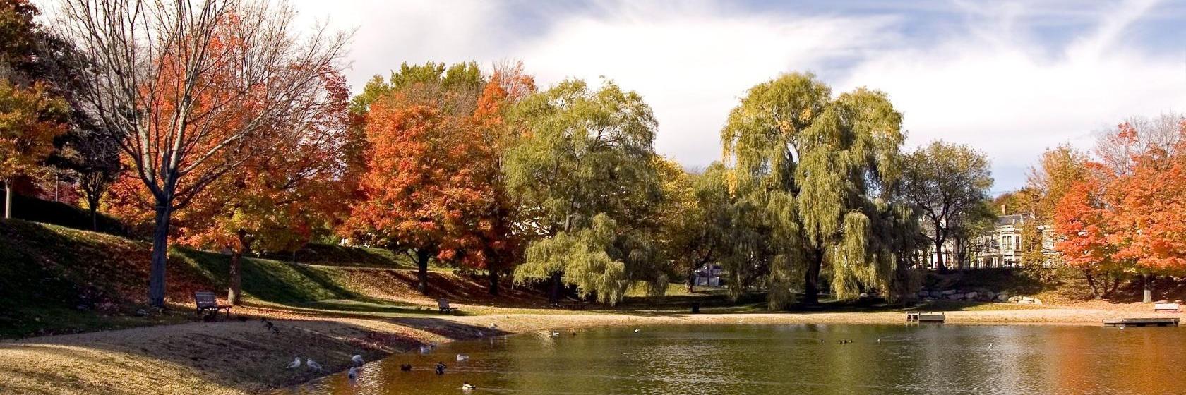 The 10 best hotels in Basildon, Essex - Cheap Basildon hotels