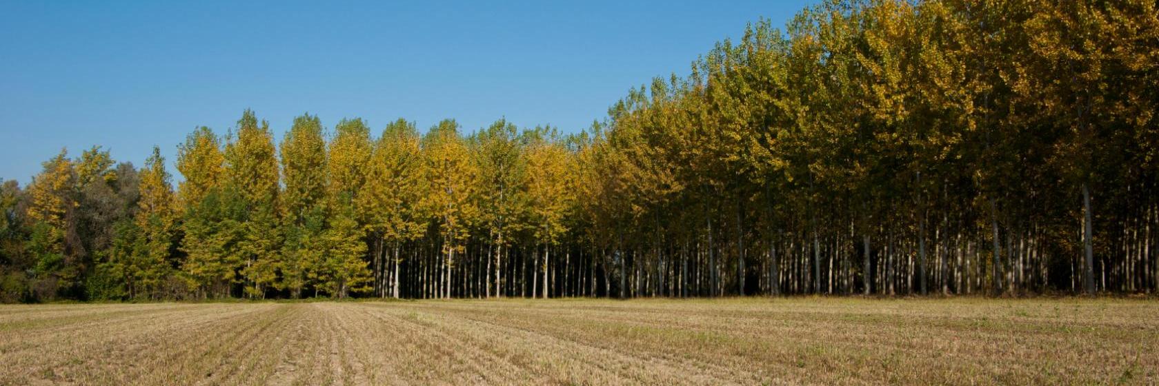 Die 10 besten Hotels in Favaro Veneto, Italien (Ab € 40)