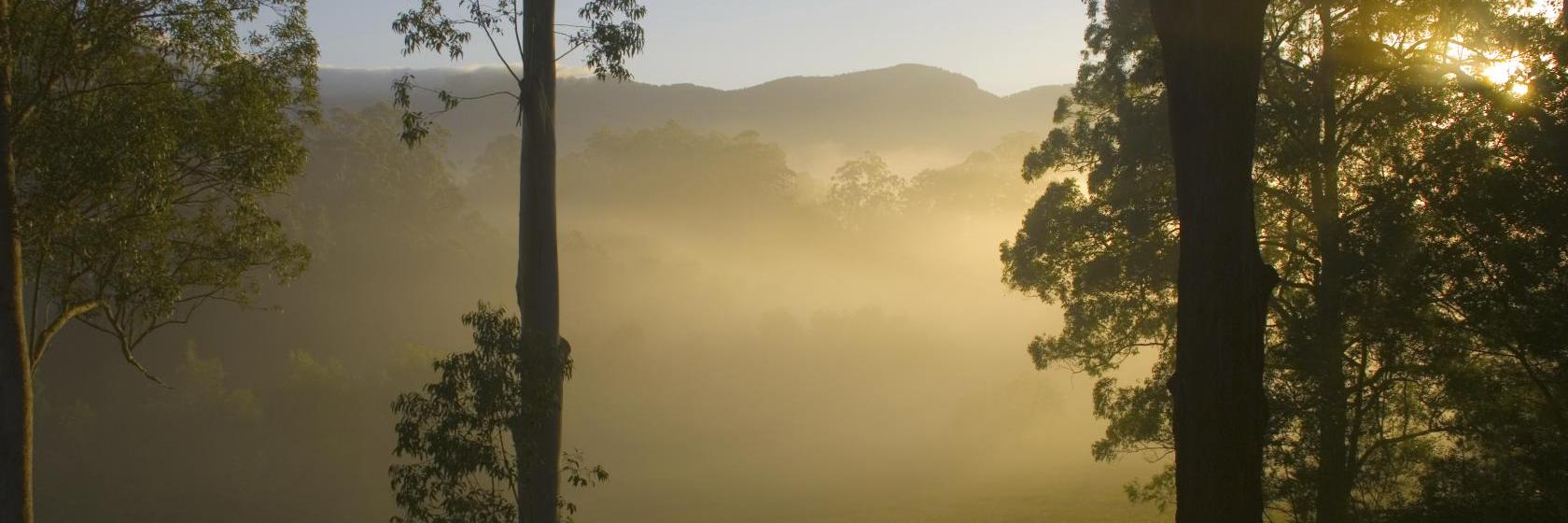 10 Best Bellingen Hotels, Australia (From $123)