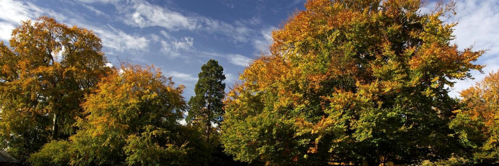 The best available hotels & places to stay near Castleknock, Ireland