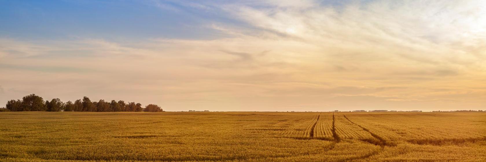 The best available hotels & places to stay near Burstall, Canada