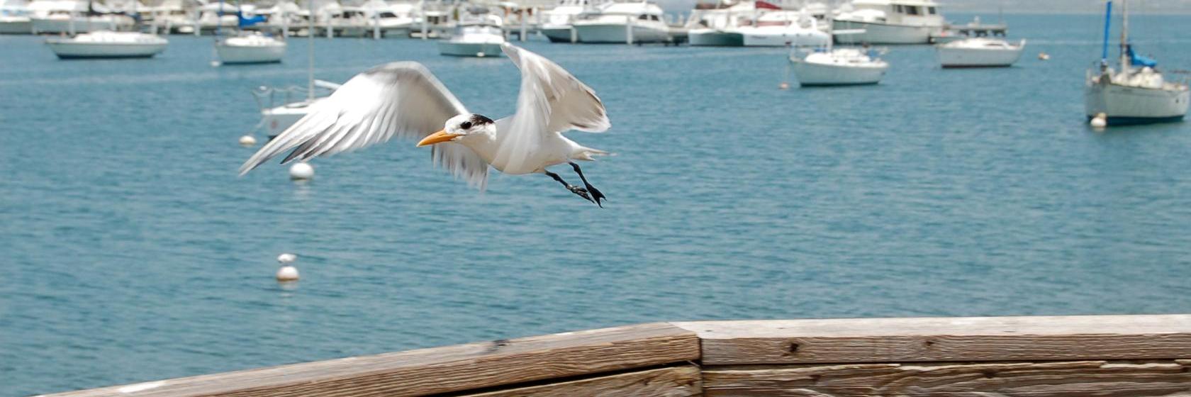 Los 10 mejores hoteles de Ponce, Puerto Rico (desde € 105)