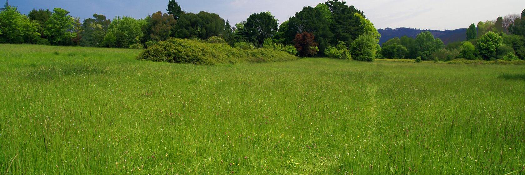 The best available hotels & places to stay near Derio, Spain