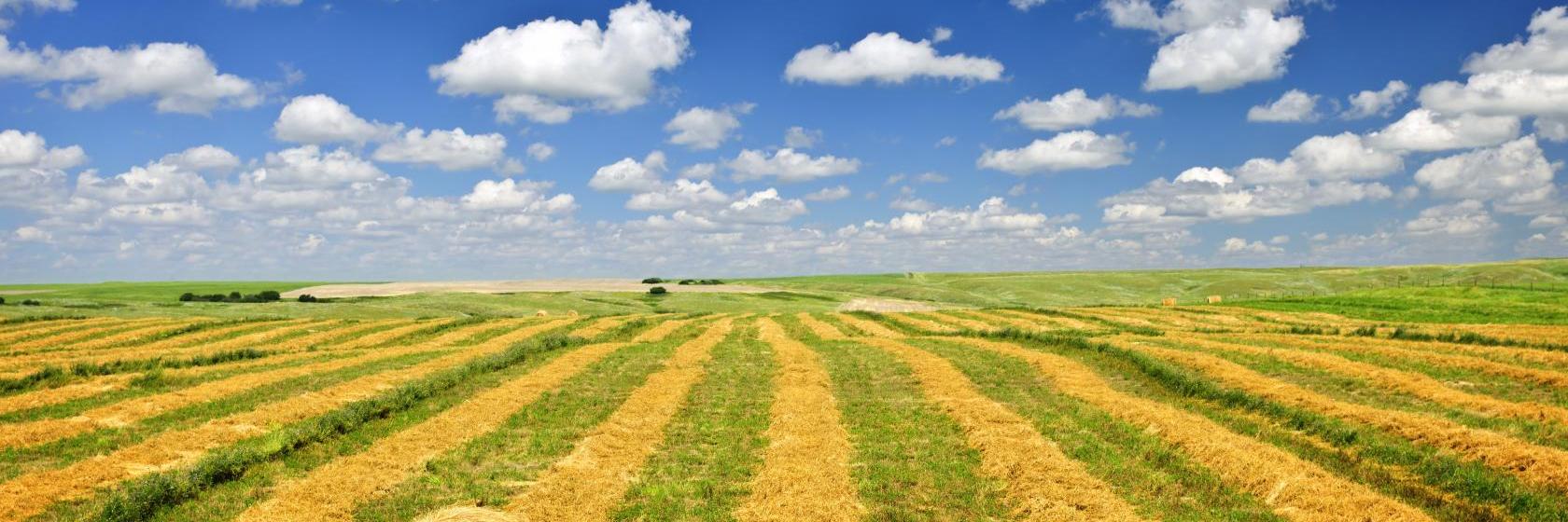 The best available hotels & places to stay near Redvers, Canada