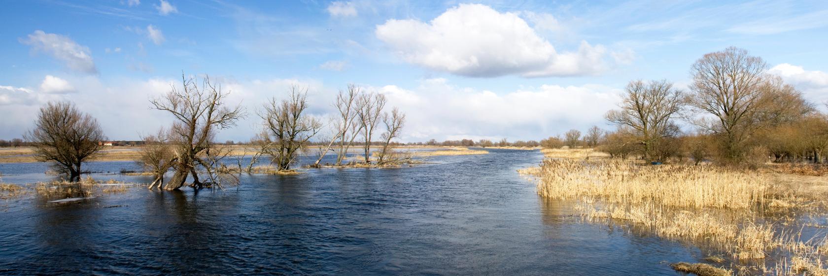 The 10 best hotels & places to stay in Briedel, Germany - Briedel hotels