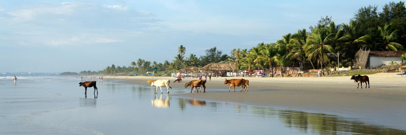 The best available hotels & places to stay near Salcete, India