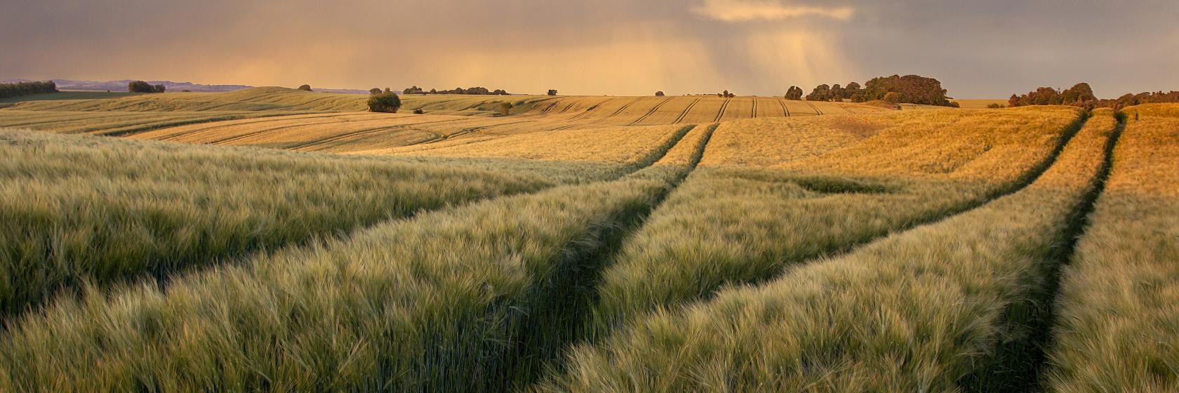 The best available hotels & places to stay near Humlum, Denmark