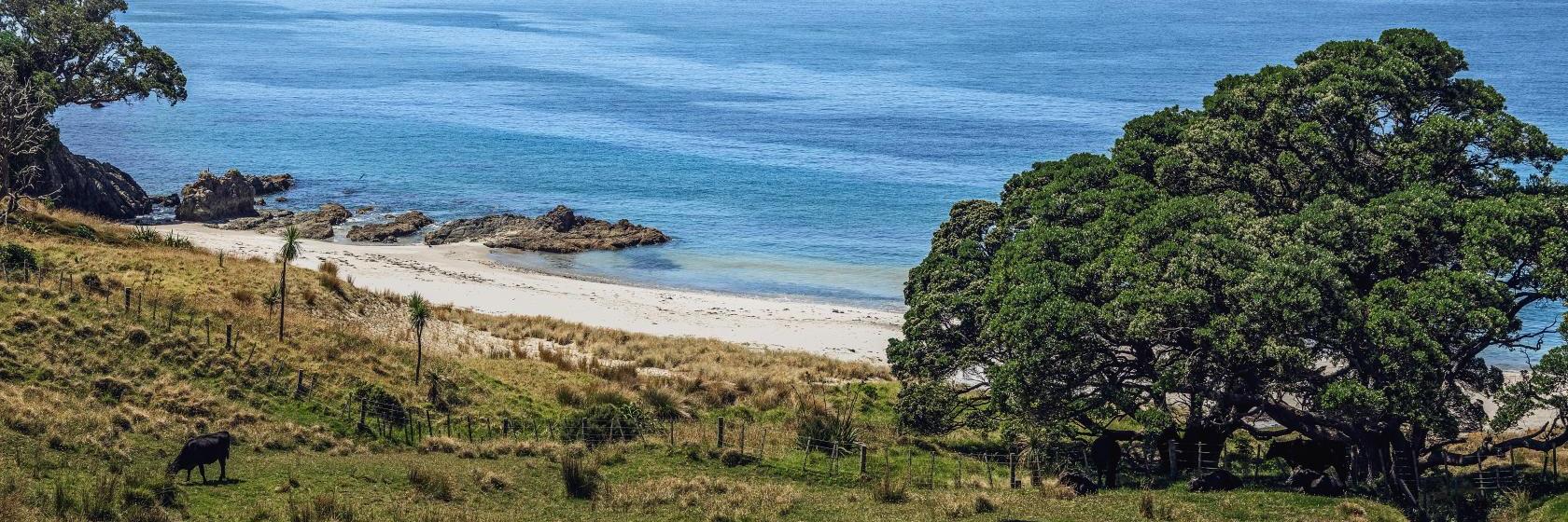 10 Best Ruakaka Hotels, New Zealand (From $167)