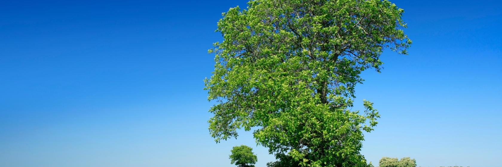 The best available hotels & places to stay near Limont, Belgium