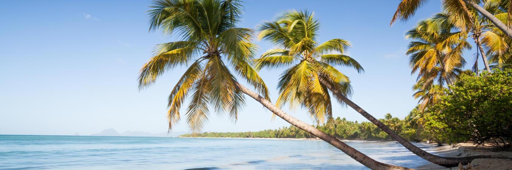 The 10 best hotels & places to stay in Rivière-Pilote, Martinique ...