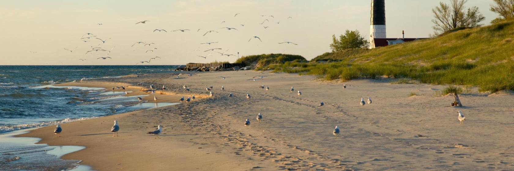 The 10 Best Ludington Hotels (From $89)