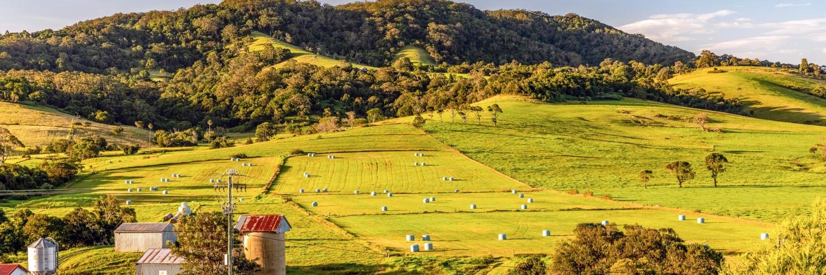 10 Best Nowra Hotels, Australia (From $108)