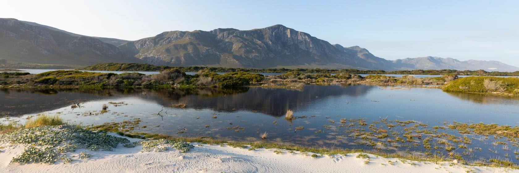 The 10 best hotels & places to stay in Hermanus, South Africa ...