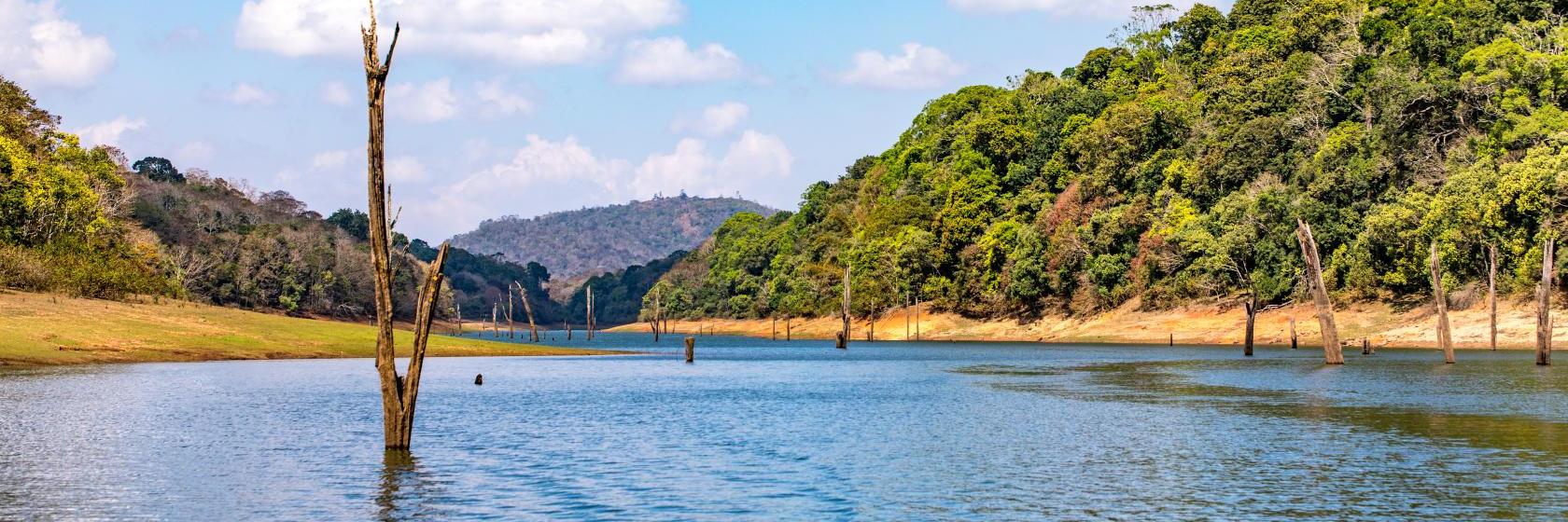 10 Best Thekkady Hotels, India (From $29)